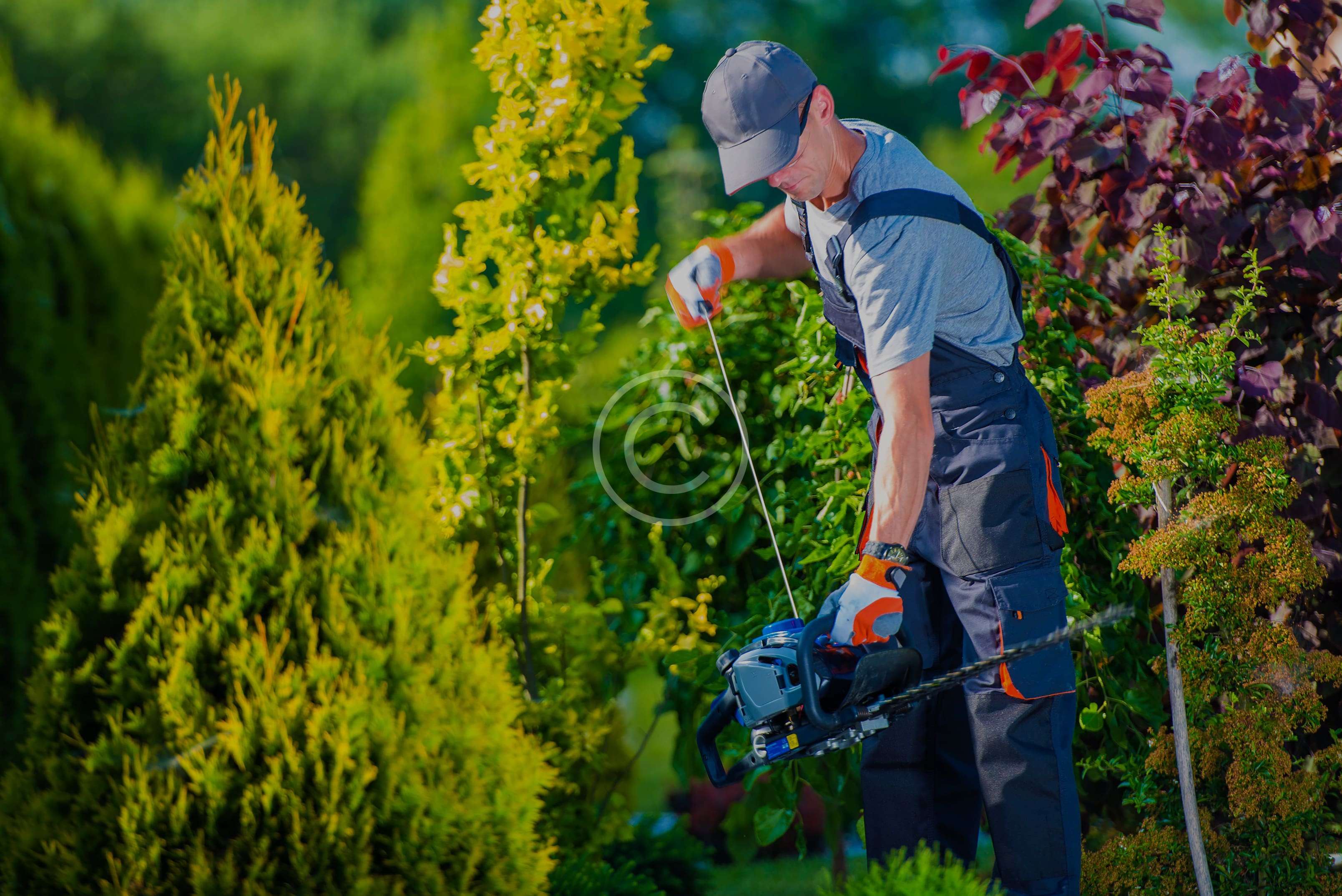 Eco-Friendly Landscaper All-Electric, No Gas or Oil Lawn Care